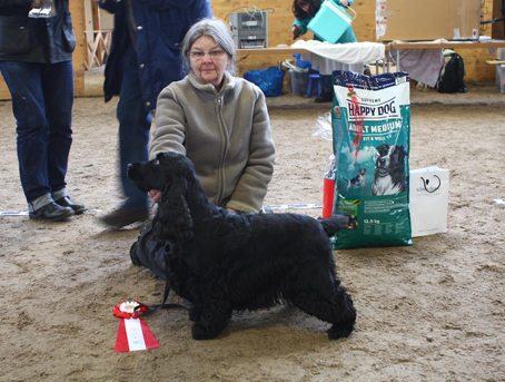 Inofficiell utställning 2010 – Lure Coursing Klubb Södra